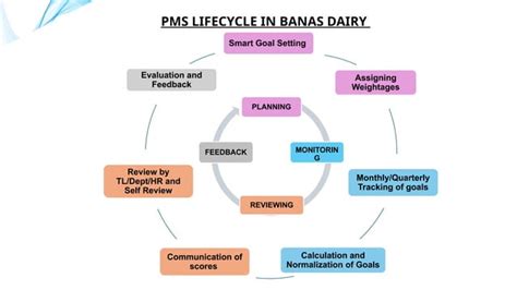 Pms And Hris Ppt On Different Suitable Hr Softwarepptx