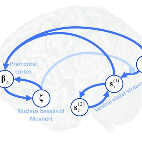 Karl Friston University College London London Ucl Institute Of Neurology Research Profile