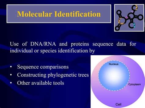 Dna Barcoding In Animals Ppt