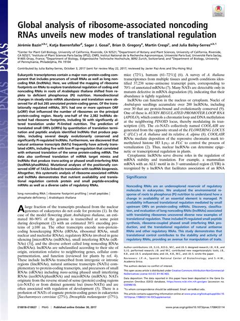 Pdf Global Analysis Of Ribosome Associated Noncoding Rnas Unveils New Modes Of Translational