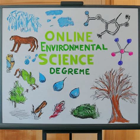 Top 9 Online Environmental Science Degree 2025