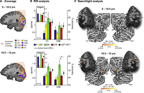 Pattern Classification Fmri Results Download Scientific Diagram