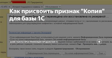 Как присвоить признак Копия для базы 1С Про 1С Дзен