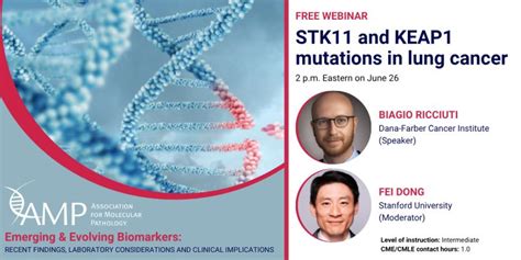 Explore The Impact Of Stk11 And Keap1 Mutations In Nsclc Treatment With