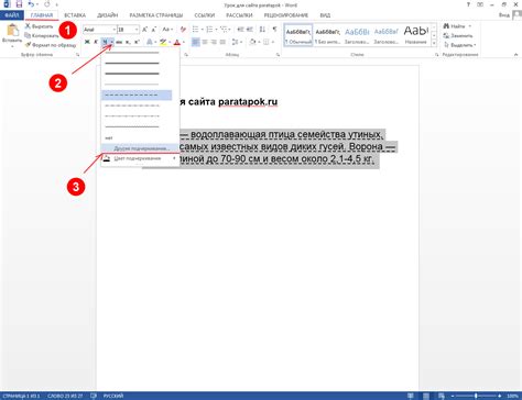 Как сделать подчеркивание в Ворде под текстом