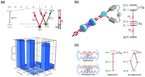 Quantum Logic Gate A Atomic Level Scheme Upper And Measured Truth Download Scientific