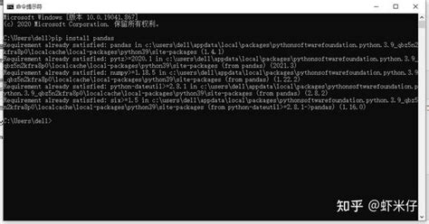 vs code 无法导入panda 库解决方法 知乎