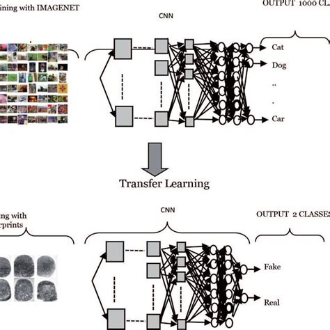 pdf transfer learning of pre trained cnn models for fingerprint liveness detection