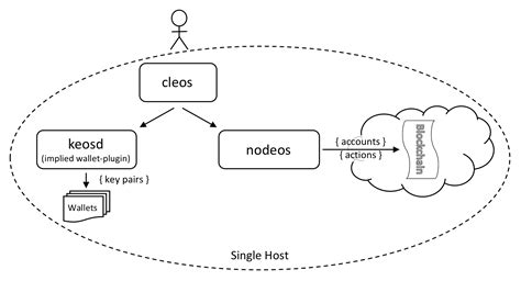 local single node testnet with consensus protocol eosio developer docs