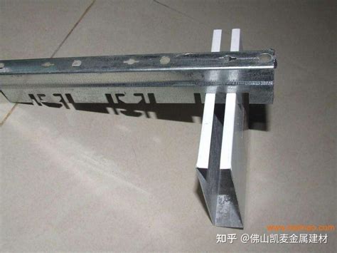 主龙骨和副龙骨的图片 知乎