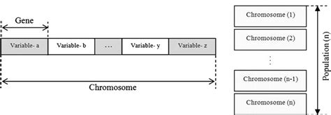 Conceptual Structure Of Chromosome And Population In Ga Method
