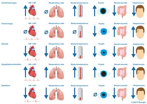 Psychotropic Recipe Amsterdam
