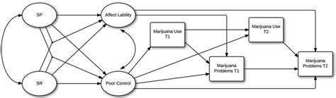 Conceptual Model Depicting Hypothesized Relationships Sp Sensitivity