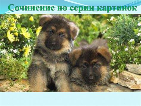 Сочинение по серии картинок презентация онлайн