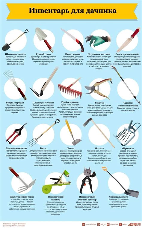 Pin By Ма Шка On Во саду ли в огороде Backyard Farming Garden Projects Summer Garden