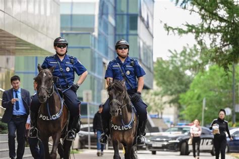 Нийслэлд 20 морьт эргүүл гарчээ