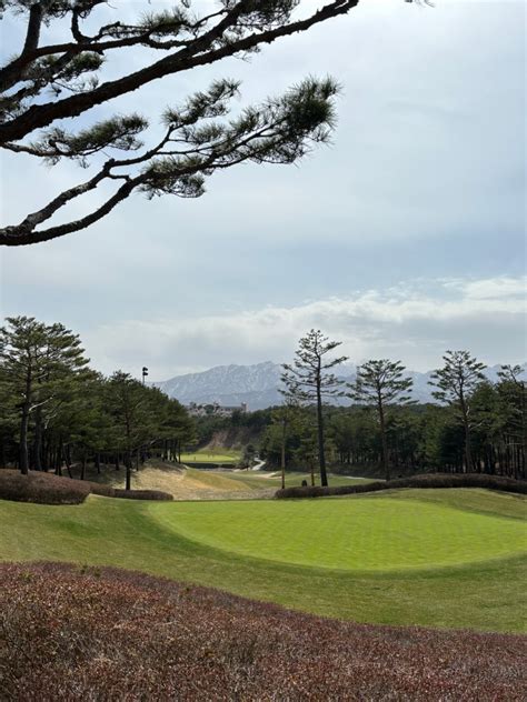 고성 파인리즈cc 골프장 라운드에서 사용해본 후지쿠라 트래빌 아이언 그라파이트 샤프트 네이버 블로그