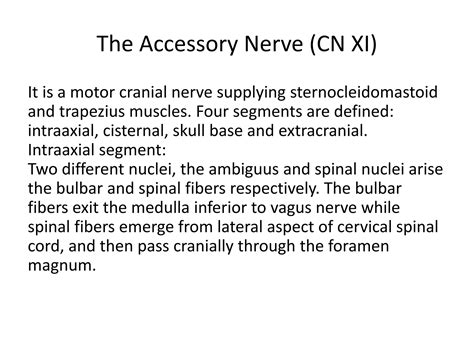 Radiologic Anatomy Of The Cranial Nerves Pptx
