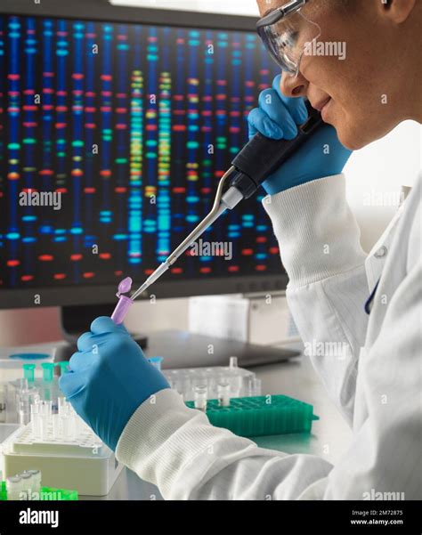 Scientist Dna Profile Experiment Hi Res Stock Photography And Images Alamy