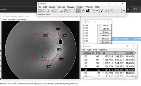 How To Measure The Arc Length Image Analysis Image Sc Forum