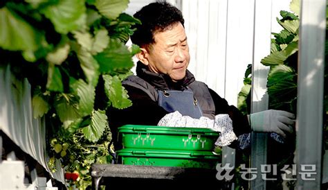 Nbs 하이라이트 ‘딸기 디저트 프랜차이즈 만들고파