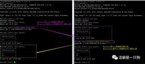 手把手教你搭建 MySQL 主从复制经典架构一主一从主主一主多从多主一从 腾讯云开发者社区 腾讯云