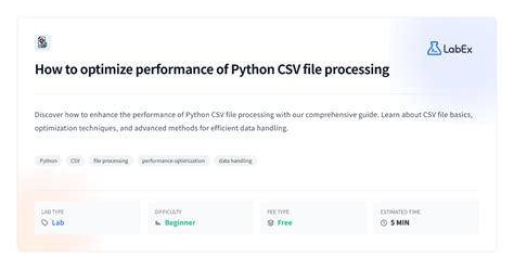 How To Optimize Performance Of Python Csv File Processing Labex