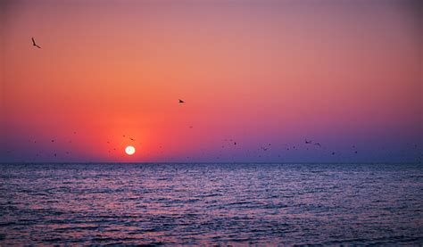 생생한 하늘과 함께 바다 너머로 숨막히는 일몰 수평선 너머로 지는 해가 바다 위로 따뜻한 색조를 드리우고 새들은 물 위로 우아하게 날아오릅니다 0명에 대한 스톡 사진 및