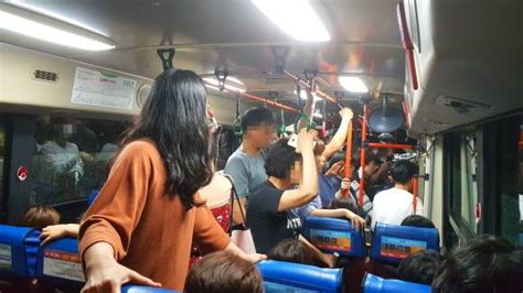 버스 안의 미친 아줌마 이전 유머게시판 움짤저장소