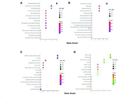Bubble Plots Representing The Enriched Gene Ontology Terms Of The
