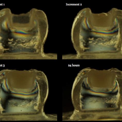 Horizontal Technique Download Scientific Diagram