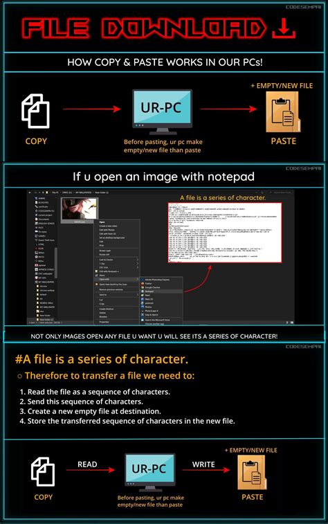 backdoor 06 file download using python codesempai