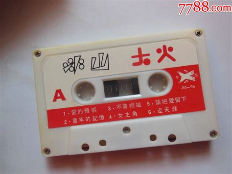 冰山大火－王洁萍－陈少雄等演唱（带芯）（10个以上免快递！） 磁带 卡带 京收藏阁【7788收藏 收藏热线】