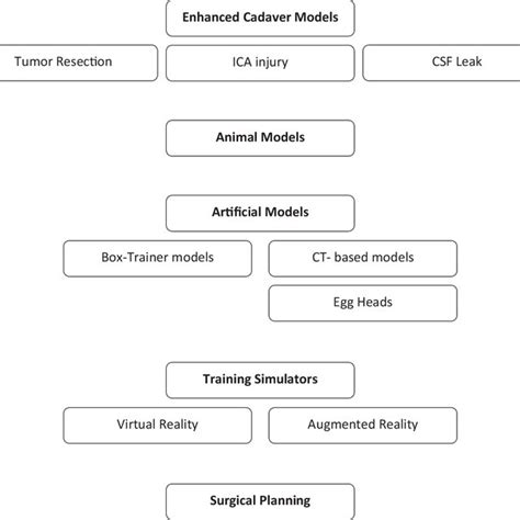 Training Models And Simulators Diagram Download Scientific Diagram