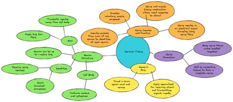 Tissues Class 9 Mind Maps Topic Wise And Memorable