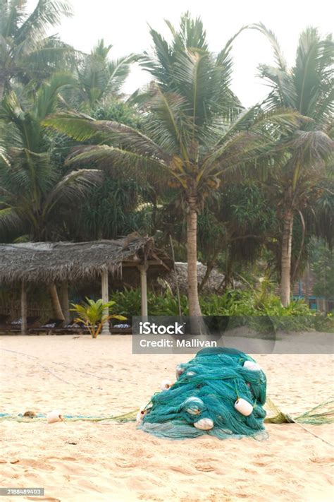 큰 수레가 달린 녹색 그물은 배경에 야자수가있는 바다 근처 해안에 있습니다 0명에 대한 스톡 사진 및 기타 이미지 0명 가득 찬 나무 Istock