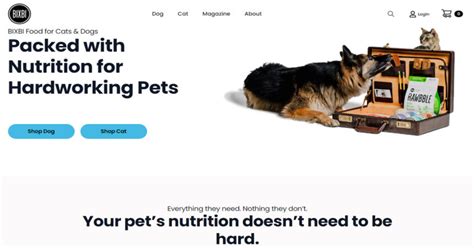 surabhi — spread the flavour css nectar css gallery