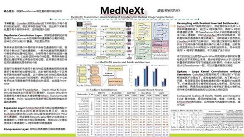 Mednext Transformer Driven Scaling Of Convnets For Medical Image