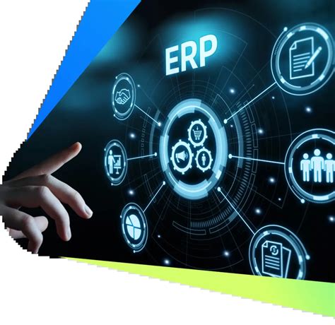 ERP Consulting Academian