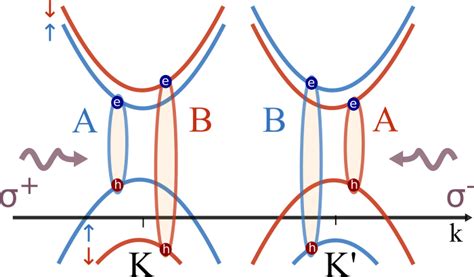 Schematic Illustration Of The Optical Selection Rules In Mose 2 A