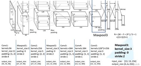 人工智能学习07 pytorch12 alexnet 花数据集 pytorch kaggle竞赛pytorh花卉 csdn博客