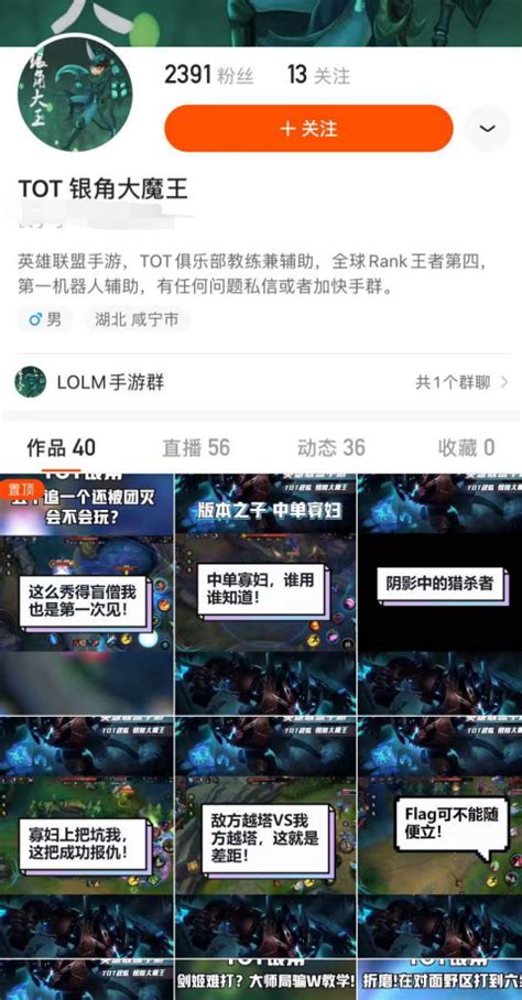 20版本寡妇最强教学，银角大魔王用她称霸lol手游国际服 哔哩哔哩