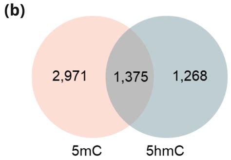 Multiomic 6 Base Sequencing Of Cell Free Dna Improves Liquid Biopsy Classifiers Biomodal