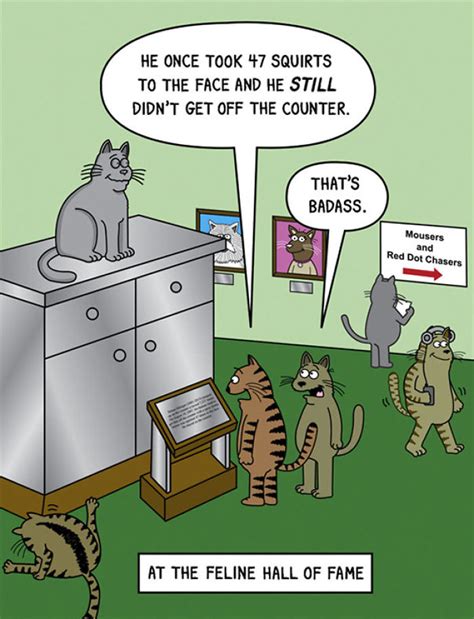 Funny Cat Cartoons