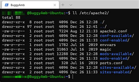 the linux directories users and package managers asp core