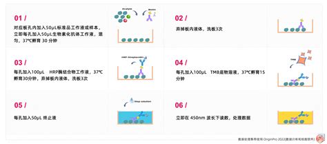生物素 Biotin 酶联免疫吸附测定试剂盒 瑞迪生物科技武汉有限公司
