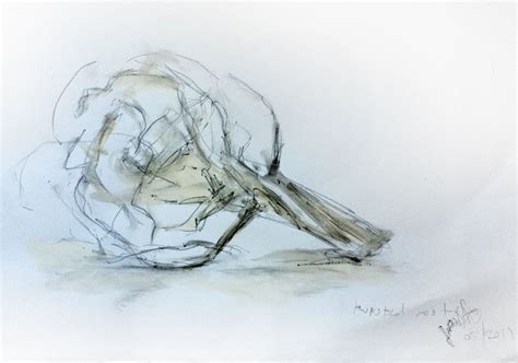 Twistwed Root Drawings