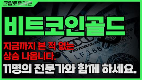 긴급 비트코인골드 지금까지 나온적 없는 상승 나온다 비트코인골드코인비트코인골드코인전망비트코인골드코인매수가비트코인골드