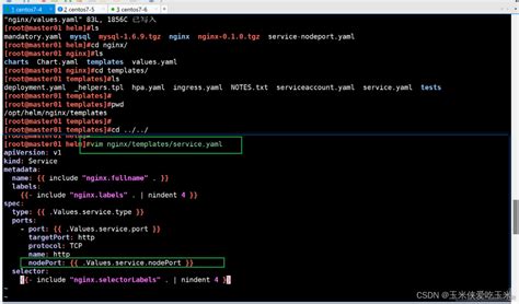 【kubernetes】k8s中包管理工具 helm 超详细解读 csdn博客