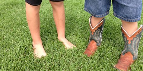 Quality Zoysia Grass Sod Houston Grass Pearland Missouri City